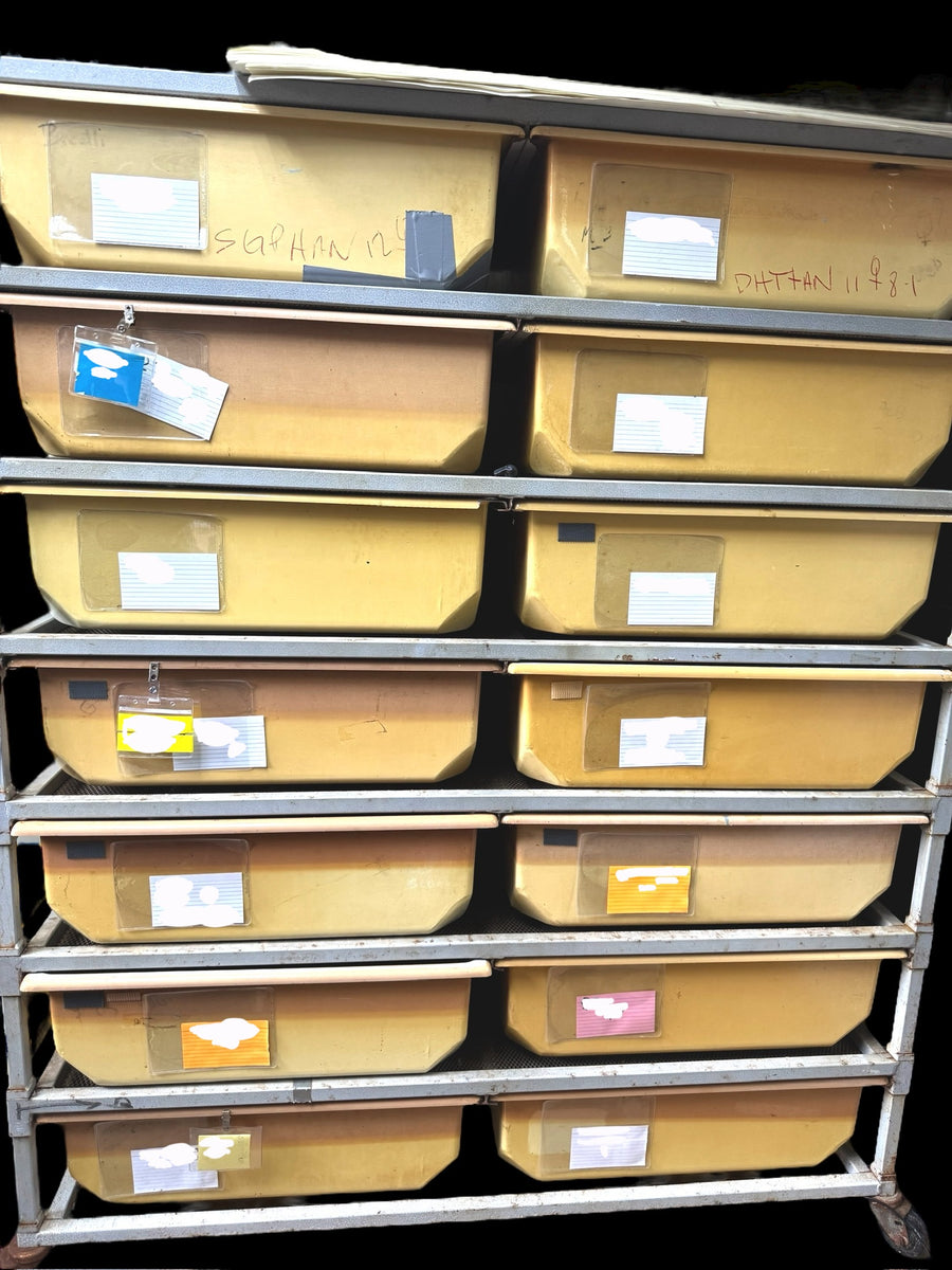 Double-Wide Drawer Snake Racks – New England Reptile - NERD