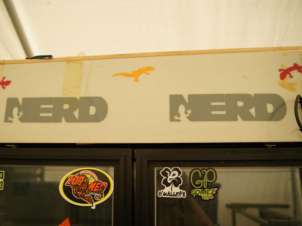 SALE! Reptile Incubator - Local Pick Up Only – New England Reptile - NERD